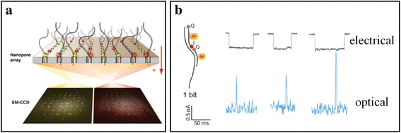 Solid-State Nanopore | SpringerLink
