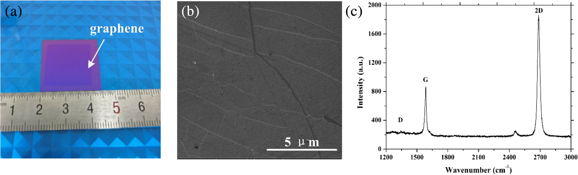 Graphene-Based Nanoscale Vacuum Channel Transistor | SpringerLink