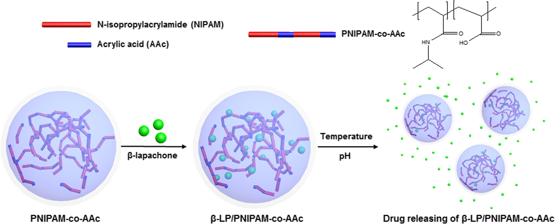Dual Stimuli-Triggered Nanogels in Response to Temperature and pH ...