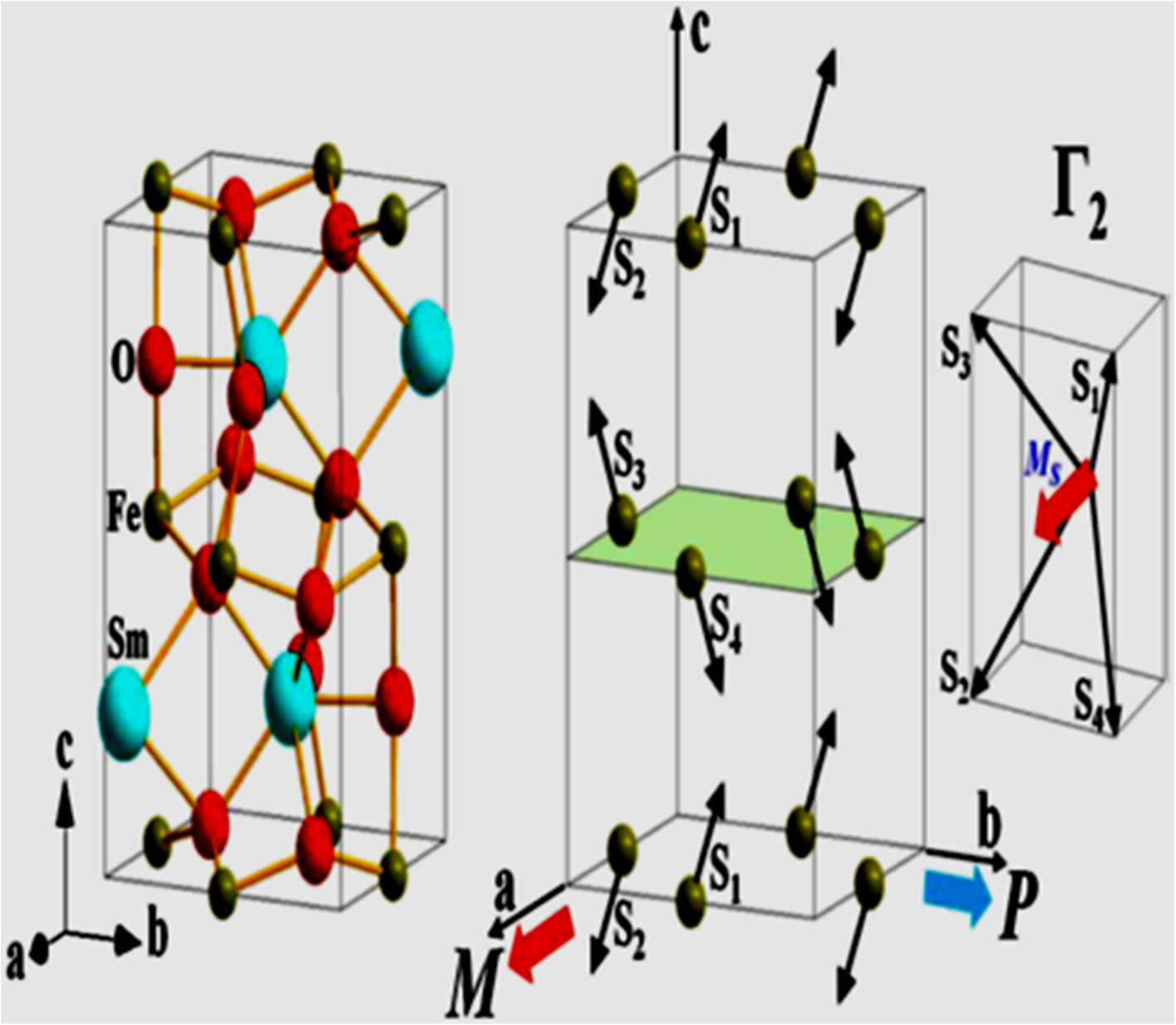 Multiferroic ABO3 Transition Metal Oxides: a Rare Interaction of ...