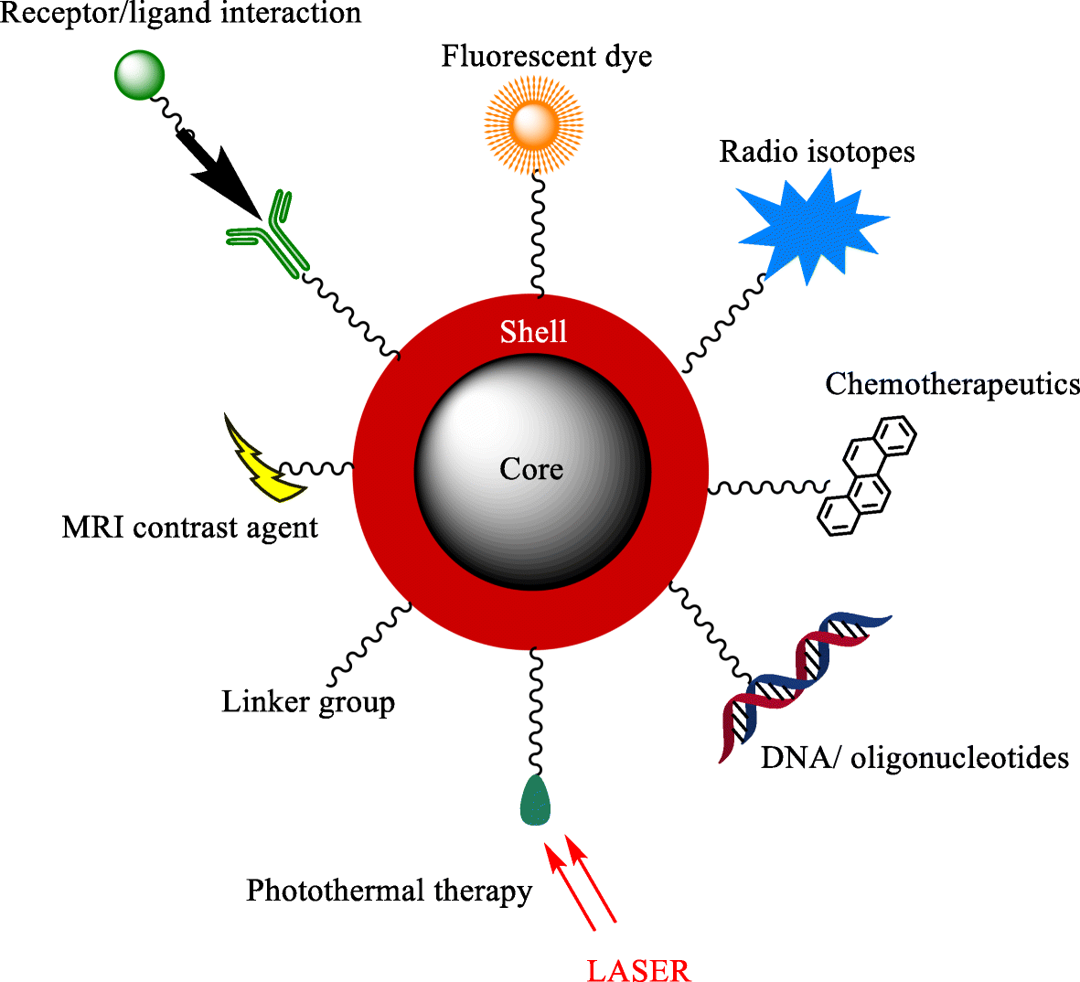 Magnetic Functionalized Nanoparticles for Biomedical, Drug Delivery and ...