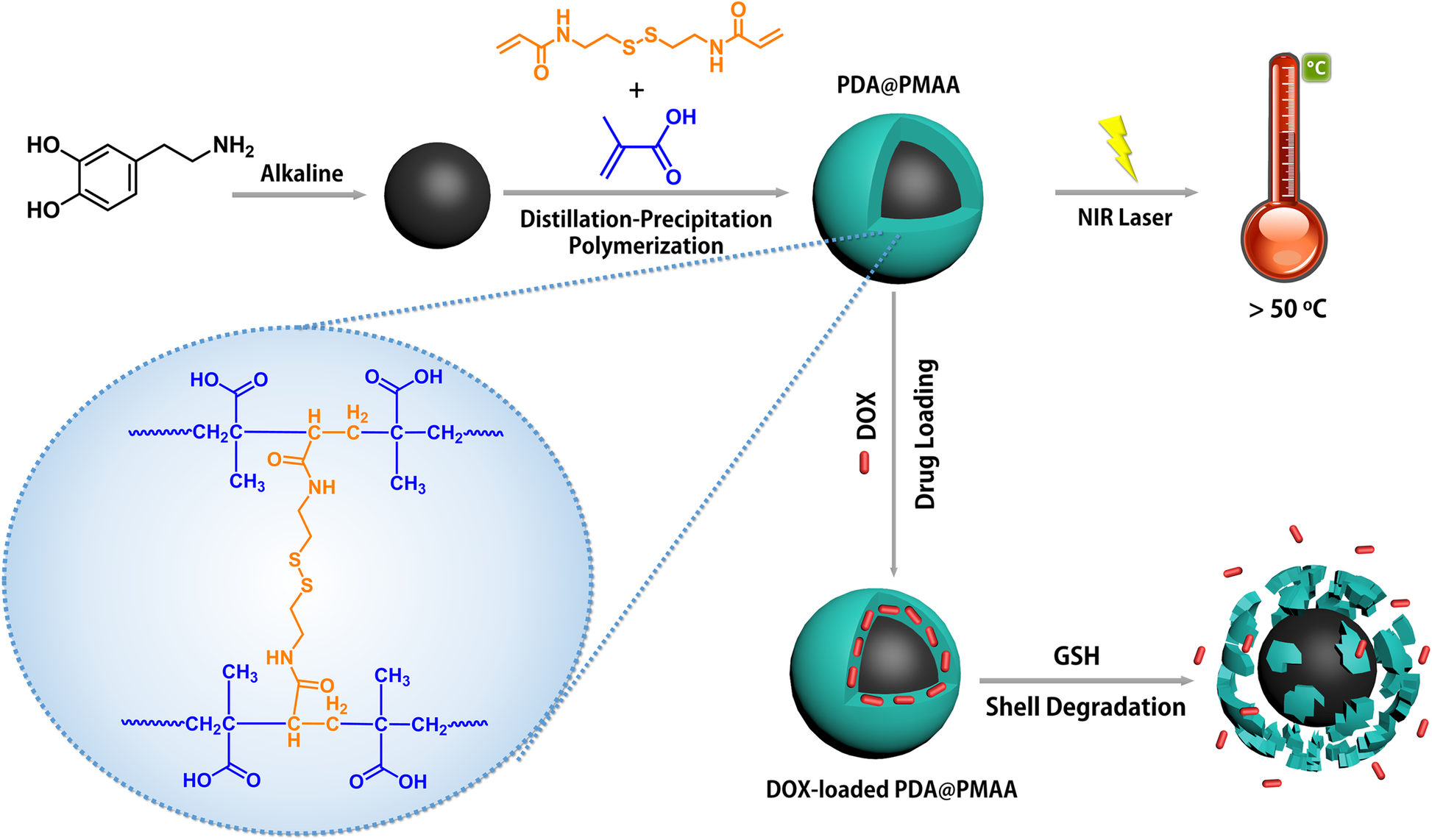 Polydopamine-Based Composite Nanoparticles with Redox-Labile Polymer ...