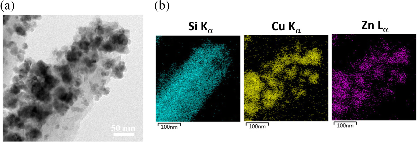 ZnO/Cu2O/Si Nanowire Arrays as Ternary Heterostructure-Based Photocatalysts with Enhanced ...