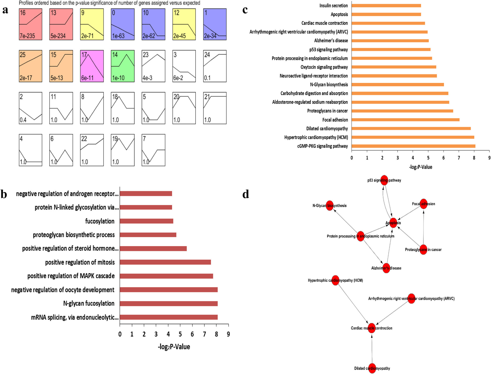 Comprehensive Transcriptomic Analysis Of Mouse Gonadal Development