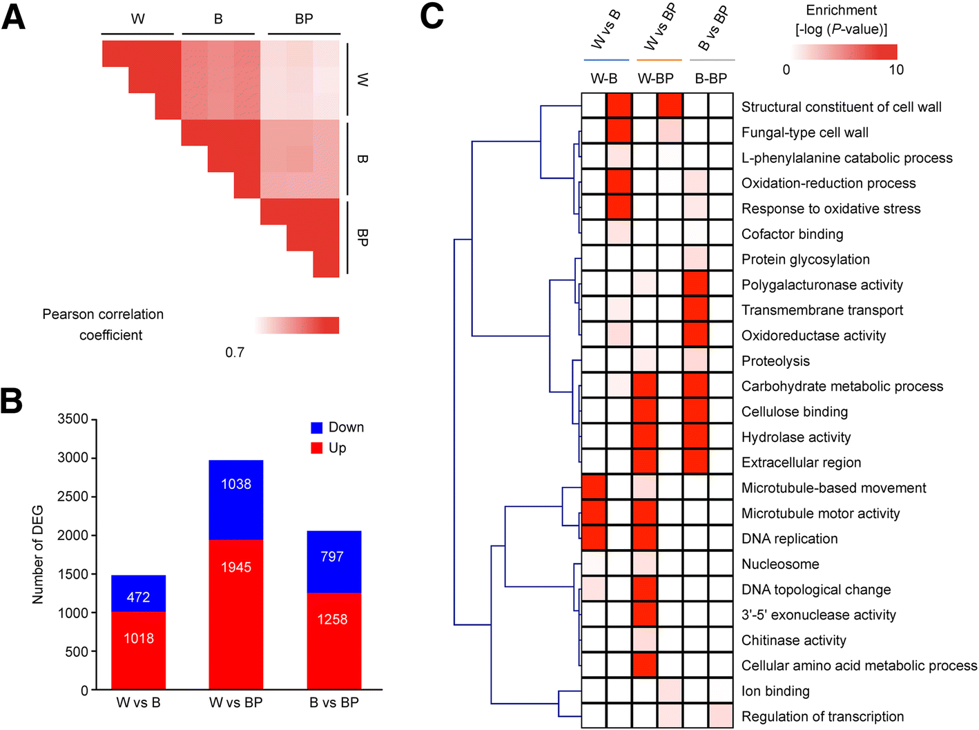Comparative Transcriptome Analysis Identified Candidate Genes Involved