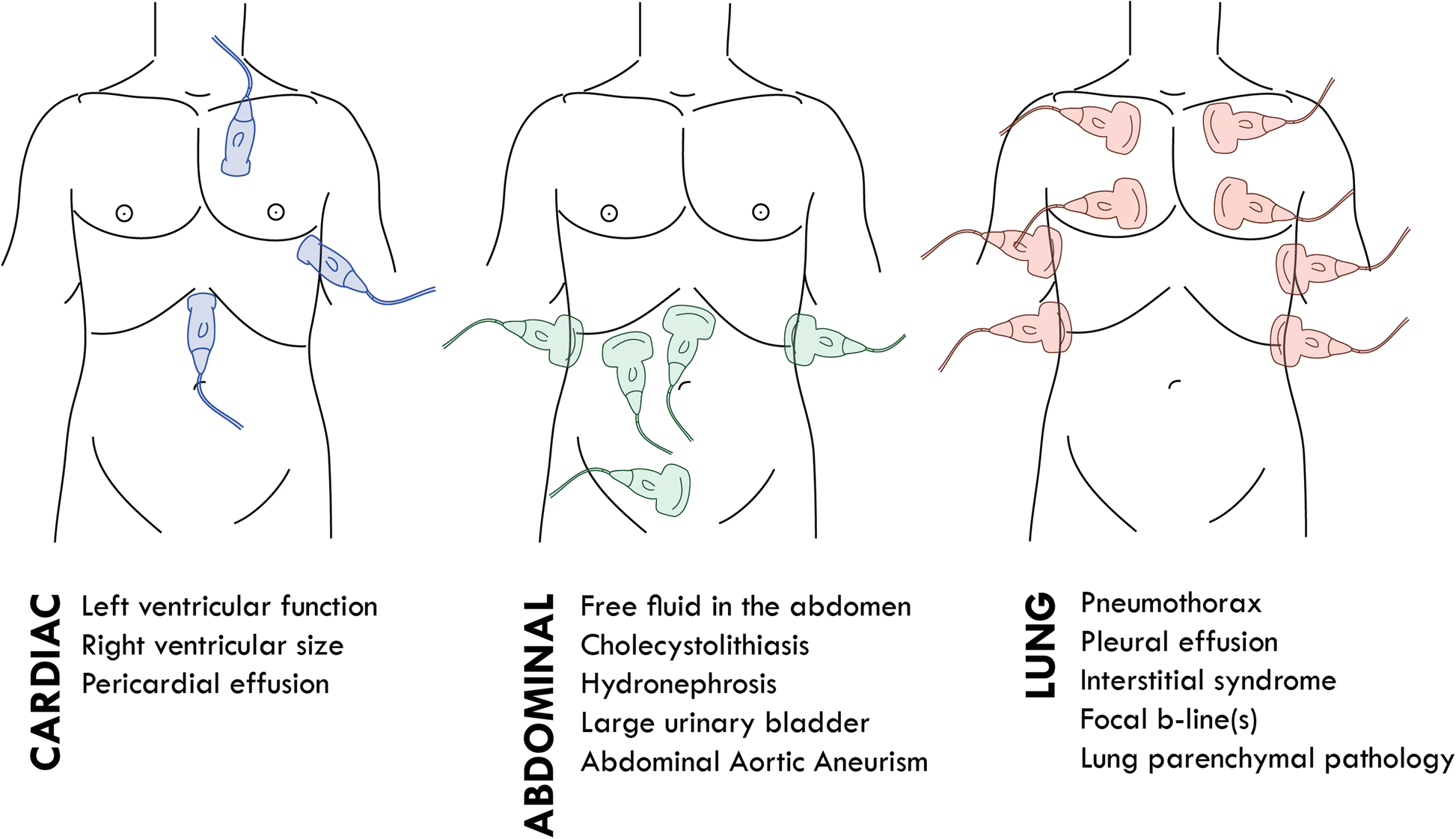 Point Of Care Ultrasound Findings In Unselected Patients In An