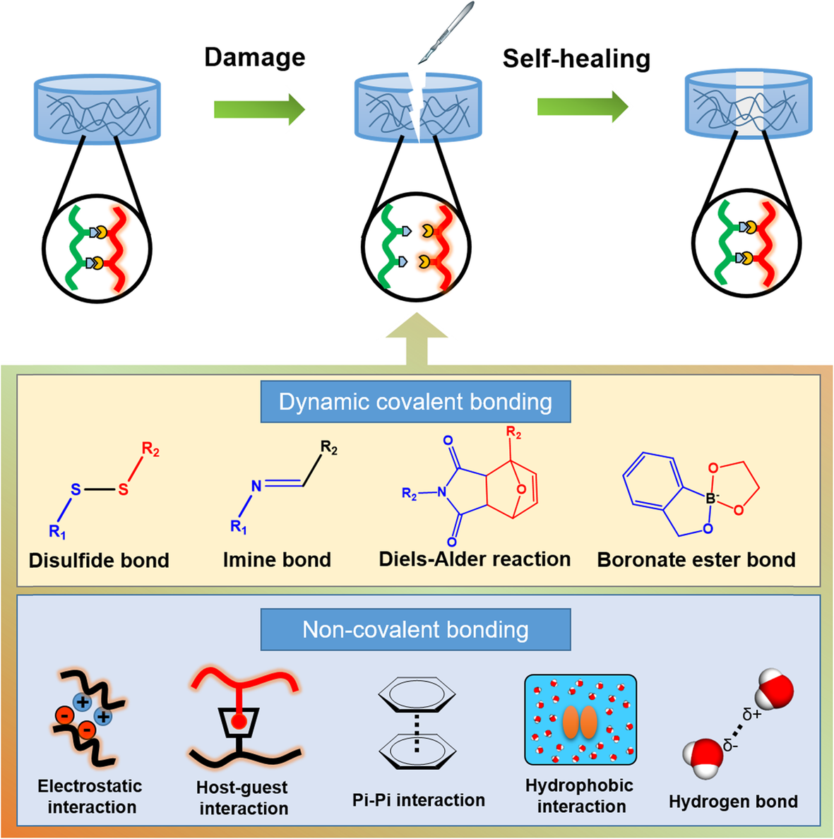 Smart polymers for cell therapy and precision medicine | SpringerLink