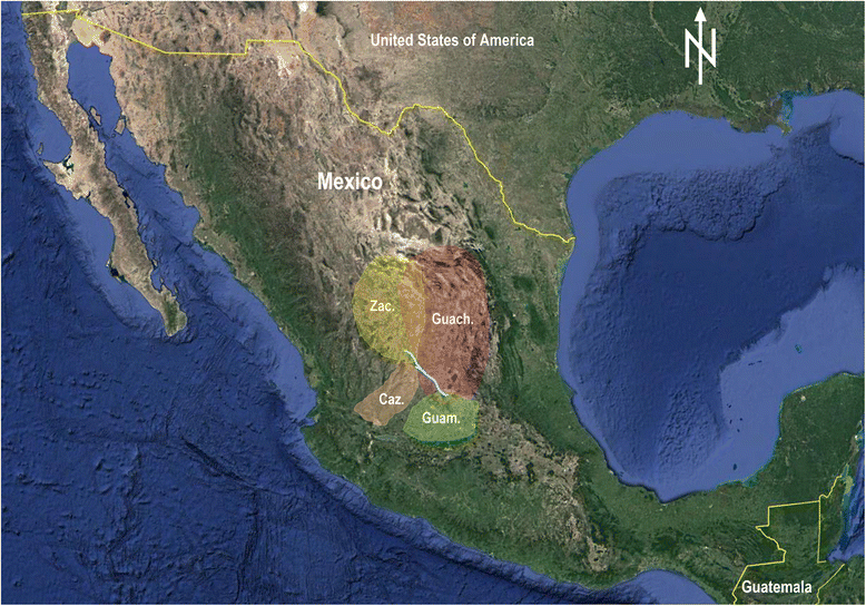 Reconsideration of the nomadic condition of the southernmost ...