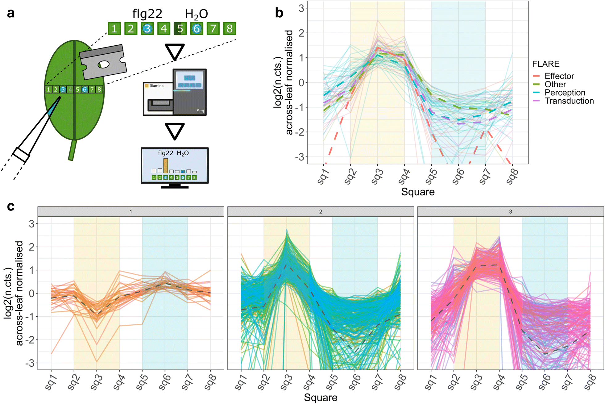 Spatially resolved transcriptomics reveals plant host responses to pathogens | SpringerLink