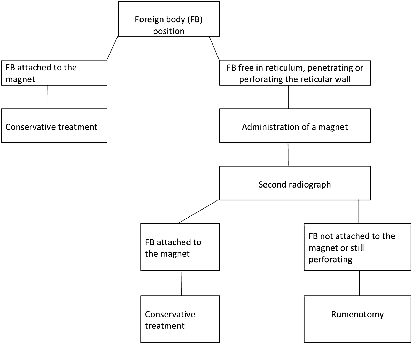 Treatment of 503 cattle with traumatic reticuloperitonitis | SpringerLink