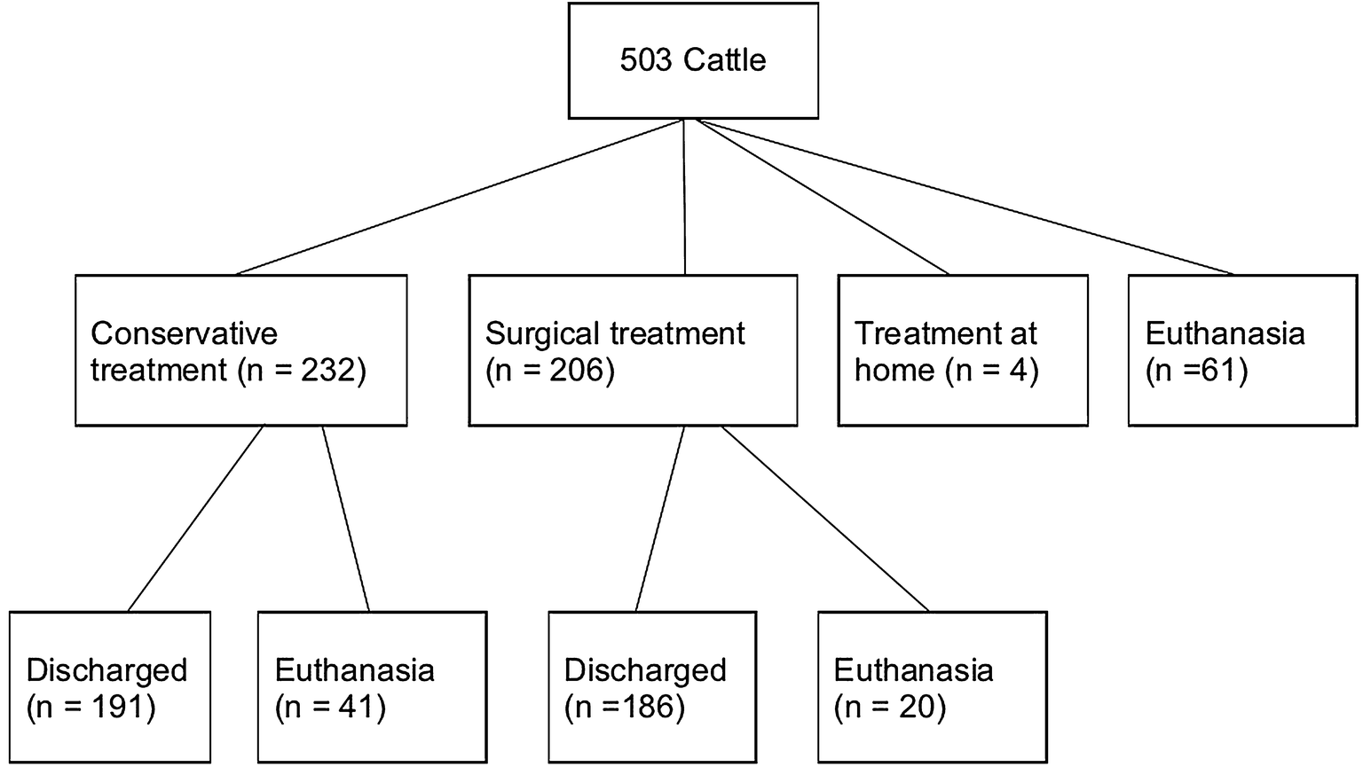 Treatment of 503 cattle with traumatic reticuloperitonitis | SpringerLink