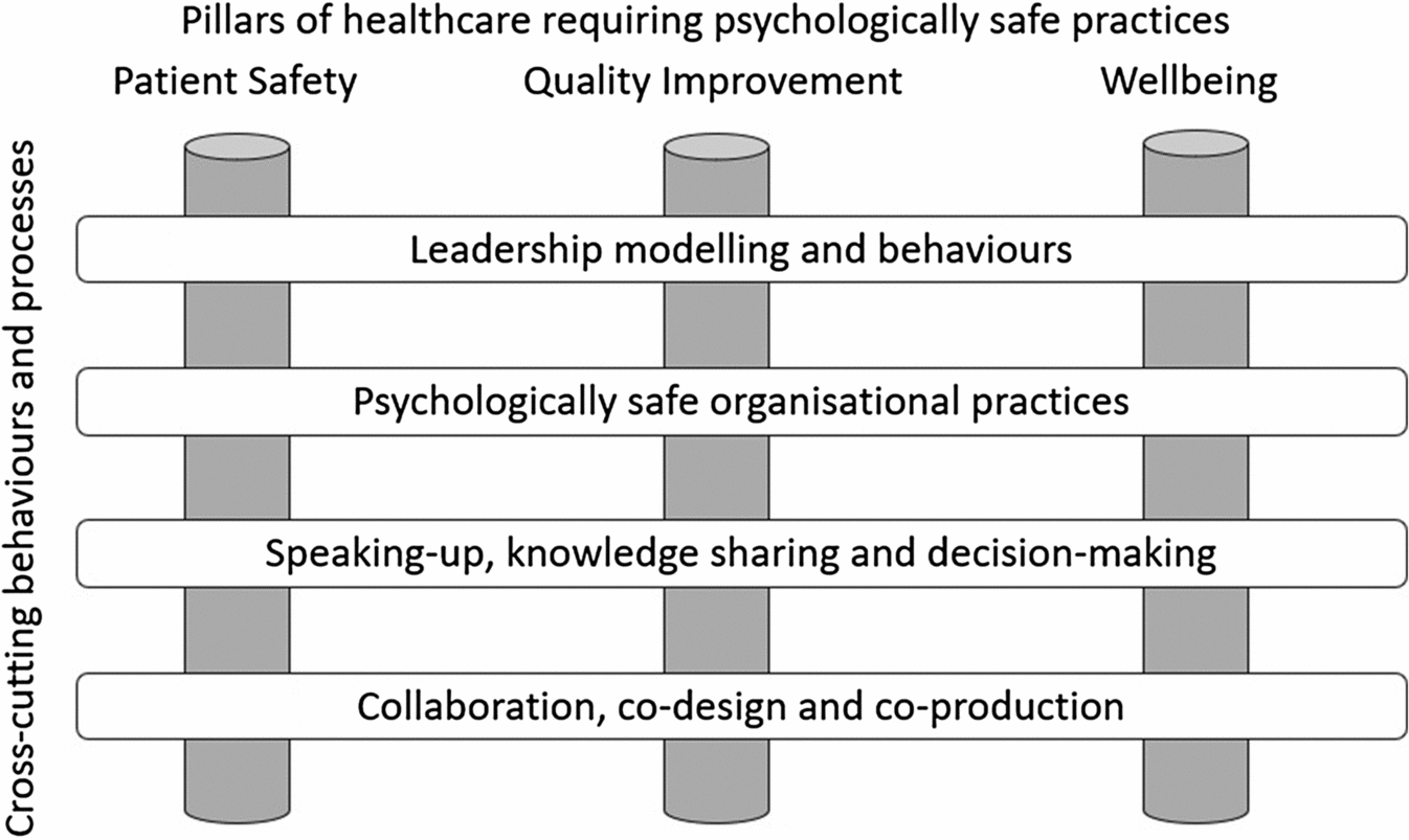 Enhancing psychological safety in mental health services ...