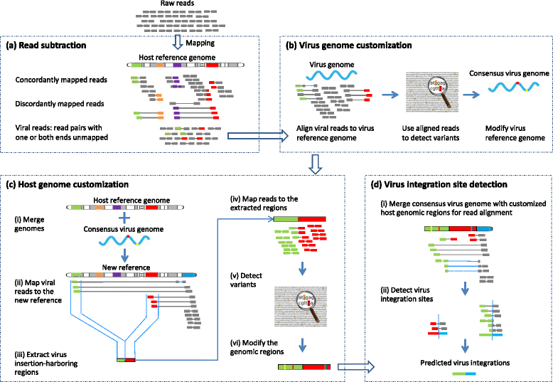 VERSE: a novel approach to detect virus integration in host genomes ...