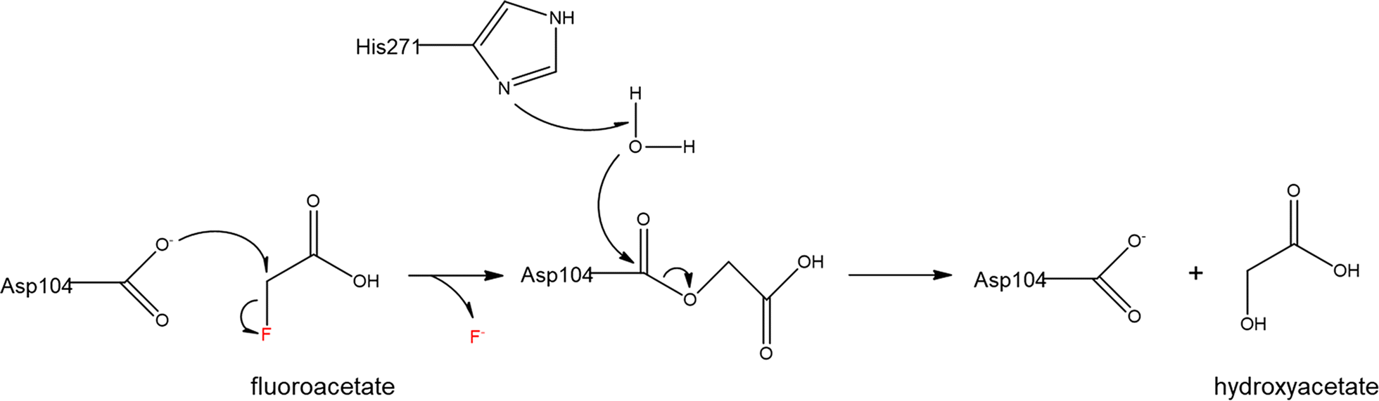 Enzymatic defluorination of fluorinated compounds | SpringerLink