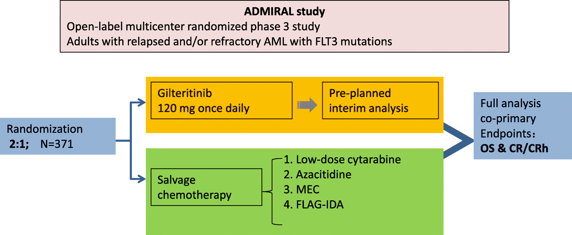 Gilteritinib: a novel FLT3 inhibitor for acute myeloid leukemia ...
