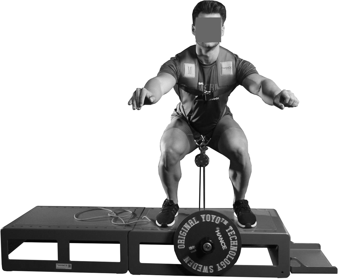 Effects of Flywheel Training on Strength-Related Variables: a Meta ...