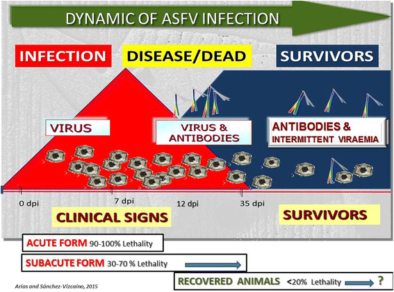 African swine fever: a global view of the current challenge | SpringerLink