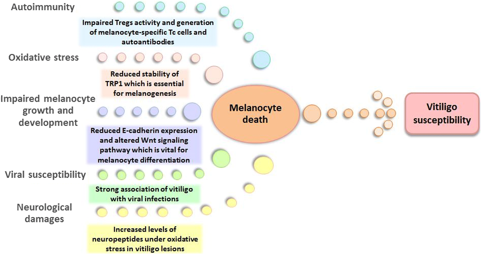 Exploring vitiligo susceptibility and management: a brief review ...