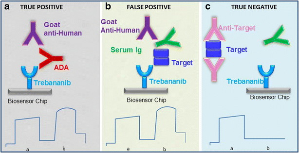 Drug Target Interference in Immunogenicity Assays: Recommendations and ...