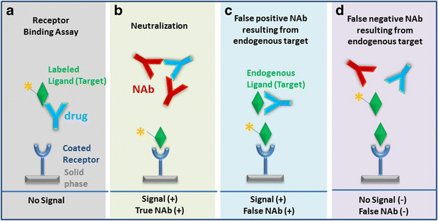 Drug Target Interference in Immunogenicity Assays: Recommendations and ...
