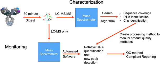 A View on the Importance of “Multi-Attribute Method” for Measuring Purity of Biopharmaceuticals ...