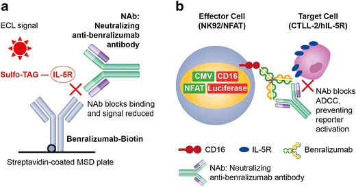 Selection of a Ligand-Binding Neutralizing Antibody Assay for ...
