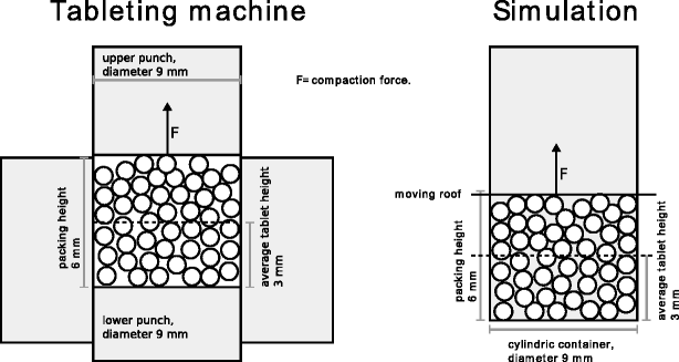3D Simulation of Internal Tablet Strength During Tableting | SpringerLink