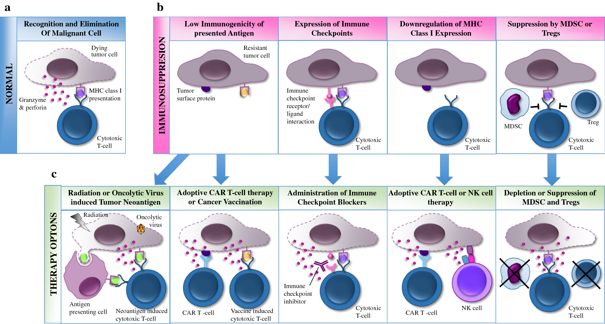 An Update on Immunotherapy for Solid Tumors: A Review | SpringerLink