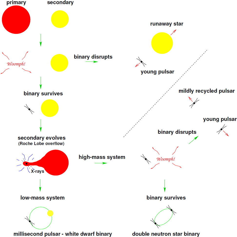 Binary Neutron Star Mergers | SpringerLink