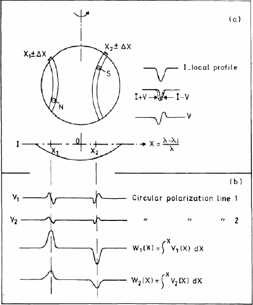 Starspots: A Key to the Stellar Dynamo | SpringerLink