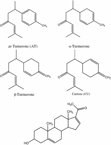 LC–UV Assay for Simultaneous Estimation of Aromatic Turmerone, α/β ...