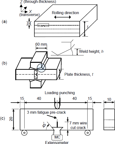 Experimental study on the through-thickness properties of structural ...