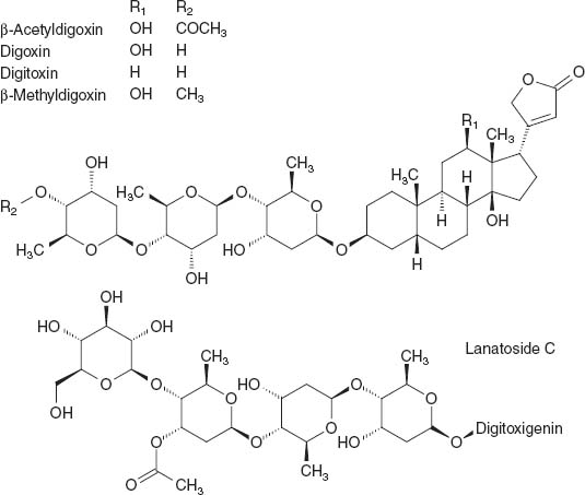 Fab Antibody Fragments | SpringerLink
