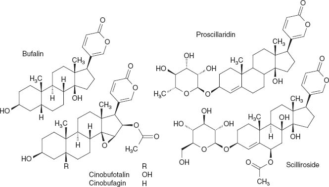 Fab Antibody Fragments | SpringerLink