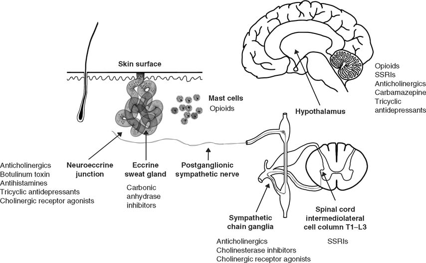 Drug-Induced Hyperhidrosis and Hypohidrosis | SpringerLink