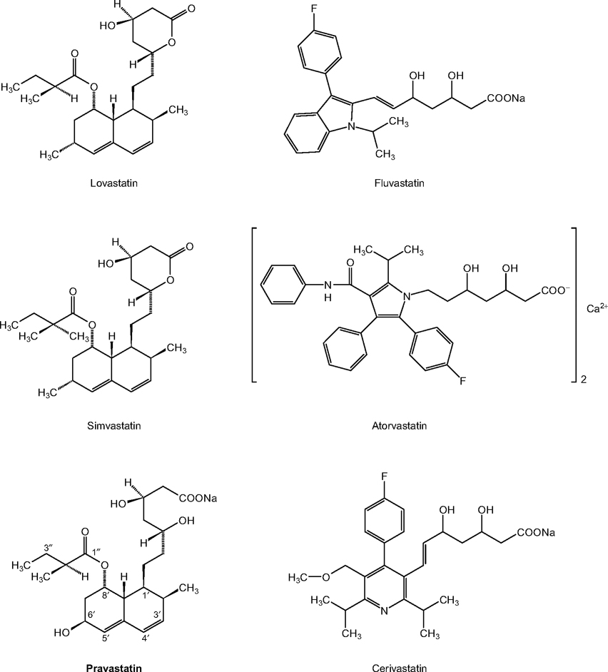Clinical Pharmacokinetics of Pravastatin | SpringerLink