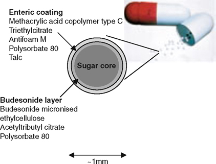Pharmacokinetics of Budesonide (Entocort™ EC) Capsules for Crohn’s ...