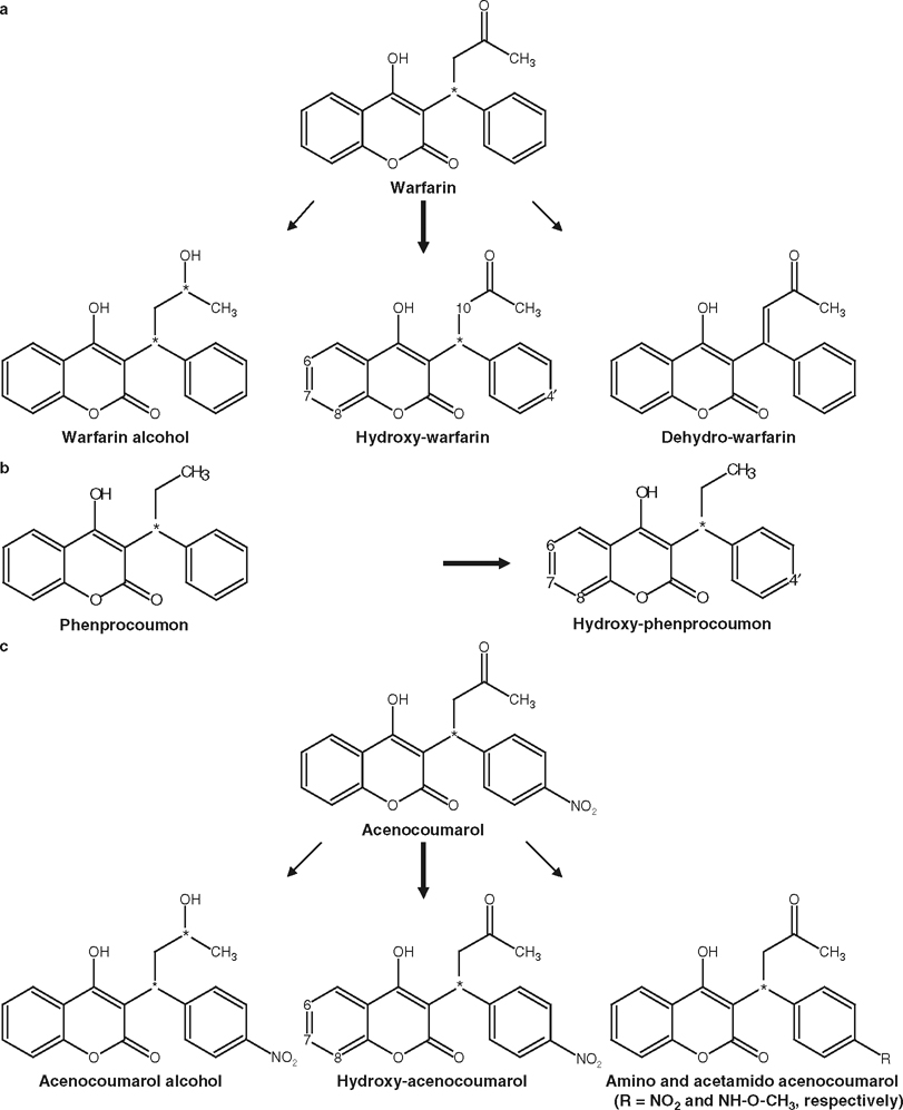 Comparative Pharmacokinetics of Vitamin K Antagonists | SpringerLink