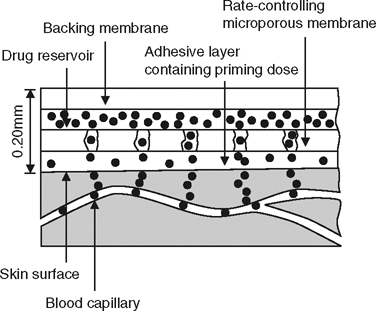 Transdermal Scopolamine for Prevention of Motion Sickness | SpringerLink