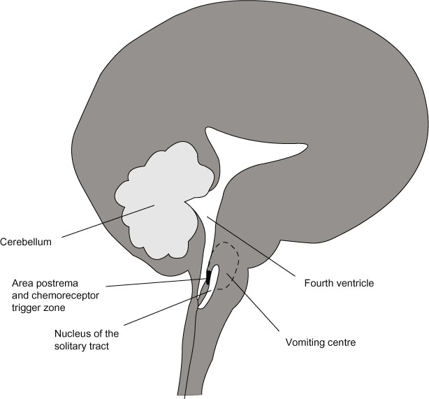 Prevention and Treatment of Postoperative Nausea and Vomiting | SpringerLink