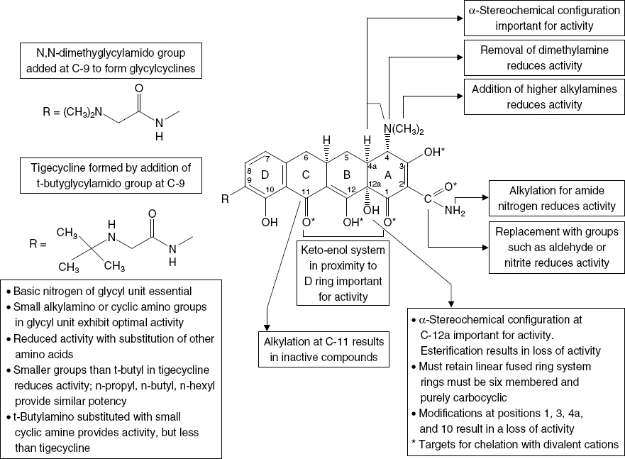 The Glycylcyclines | SpringerLink