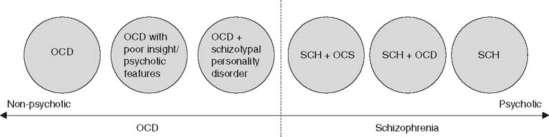 Obsessive-Compulsive Disorder in Schizophrenia | SpringerLink