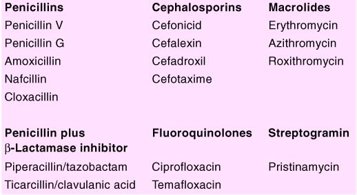 Erysipelas: treat the bacterial infection with penicillin and prevent ...