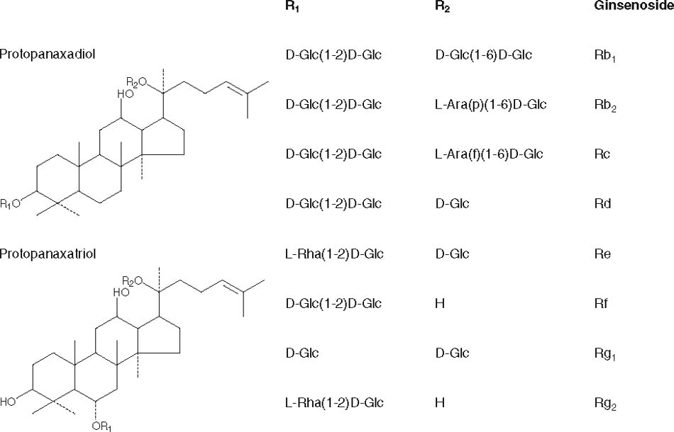 The Standardised G115® Panax ginseng C.A. Meyer Extract | SpringerLink