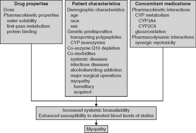 Risk Factors and Drug Interactions Predisposing to Statin-Induced ...