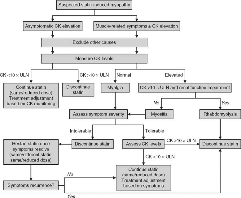 Risk Factors and Drug Interactions Predisposing to Statin-Induced ...