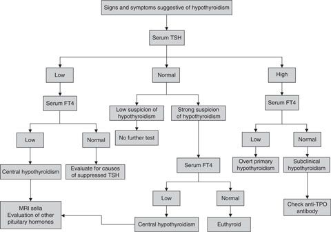 Overt and Subclinical Hypothyroidism | SpringerLink