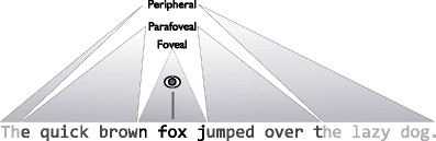 Parafoveal processing in reading | SpringerLink