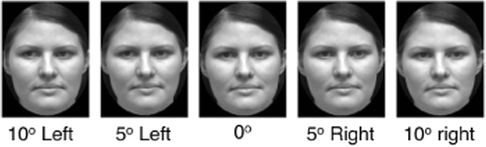 Seeing eye-to-eye: Social gaze interactions influence gaze direction ...
