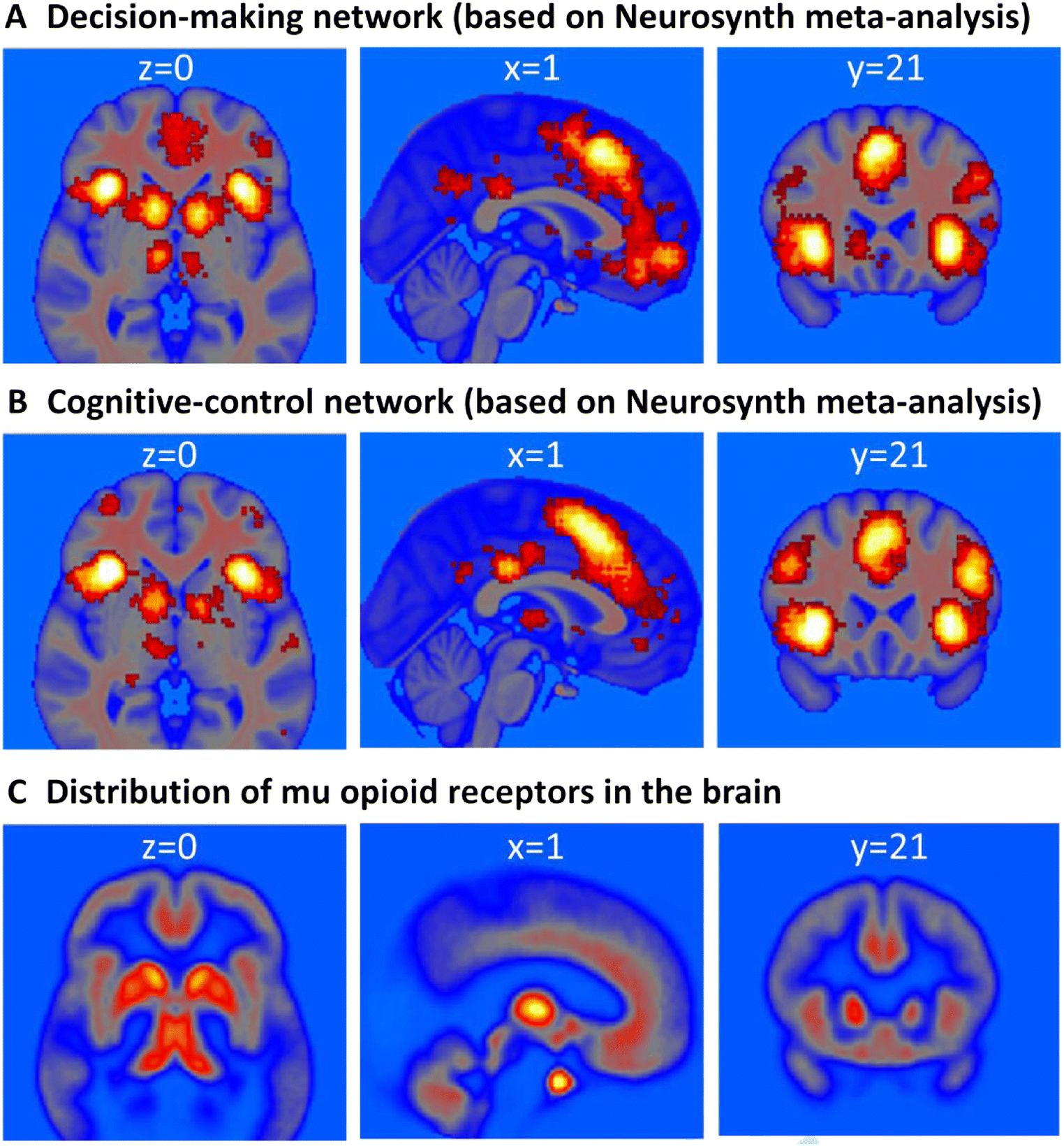 The role of the opioid system in decision making and cognitive control ...
